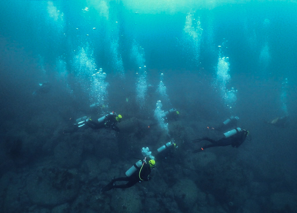 VRScuba360 – Exploring a real place where scientists study fishes along ...